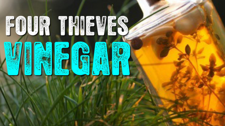 Four Thieves Vinegar – HoodooWitch